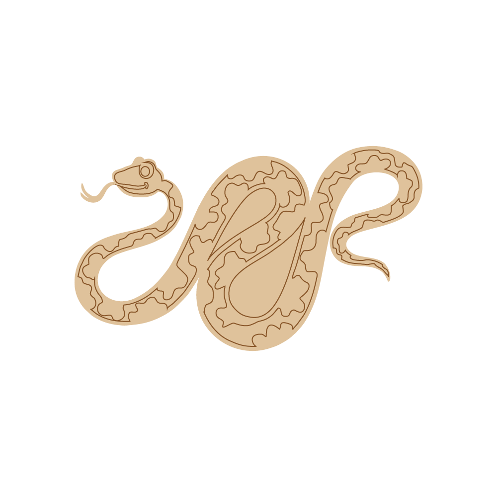 Snake PP#16 Preschool Paint & Play – Wooden DIY Shapes (Single ...